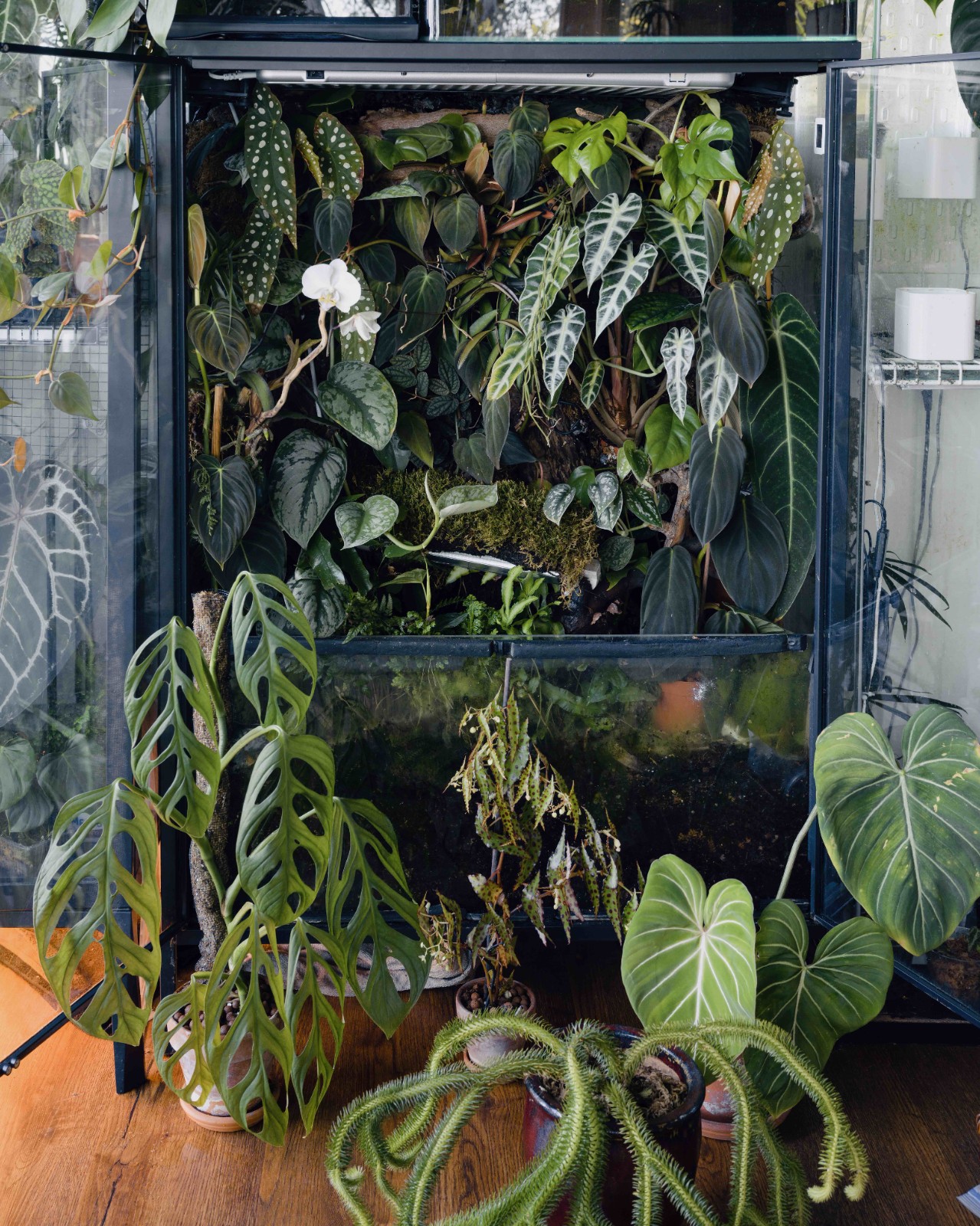 植觉时刻：畅想共生未来